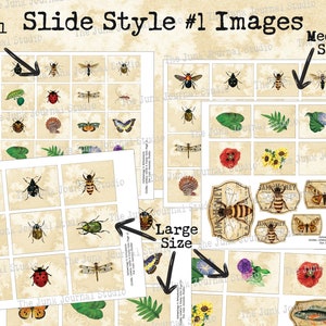 Huge Specimen Slide Kit, Entomology and Botanical Digital Kit, Specimen ...