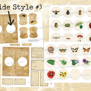 Huge Specimen Slide Kit, Entomology and Botanical Digital Kit, Specimen ...