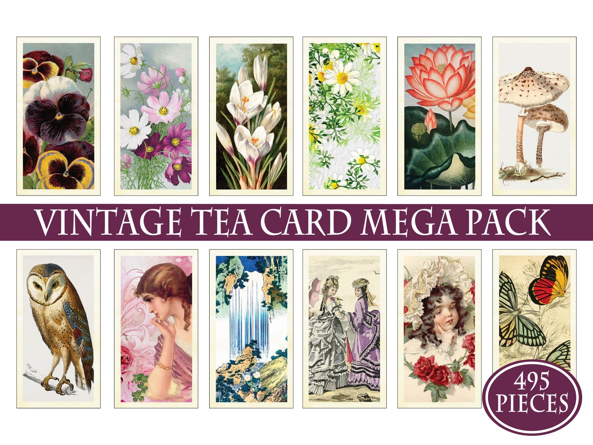 Tea Cards MEGA PACK Faux Tea Cards Digital Tea Cards | Etsy