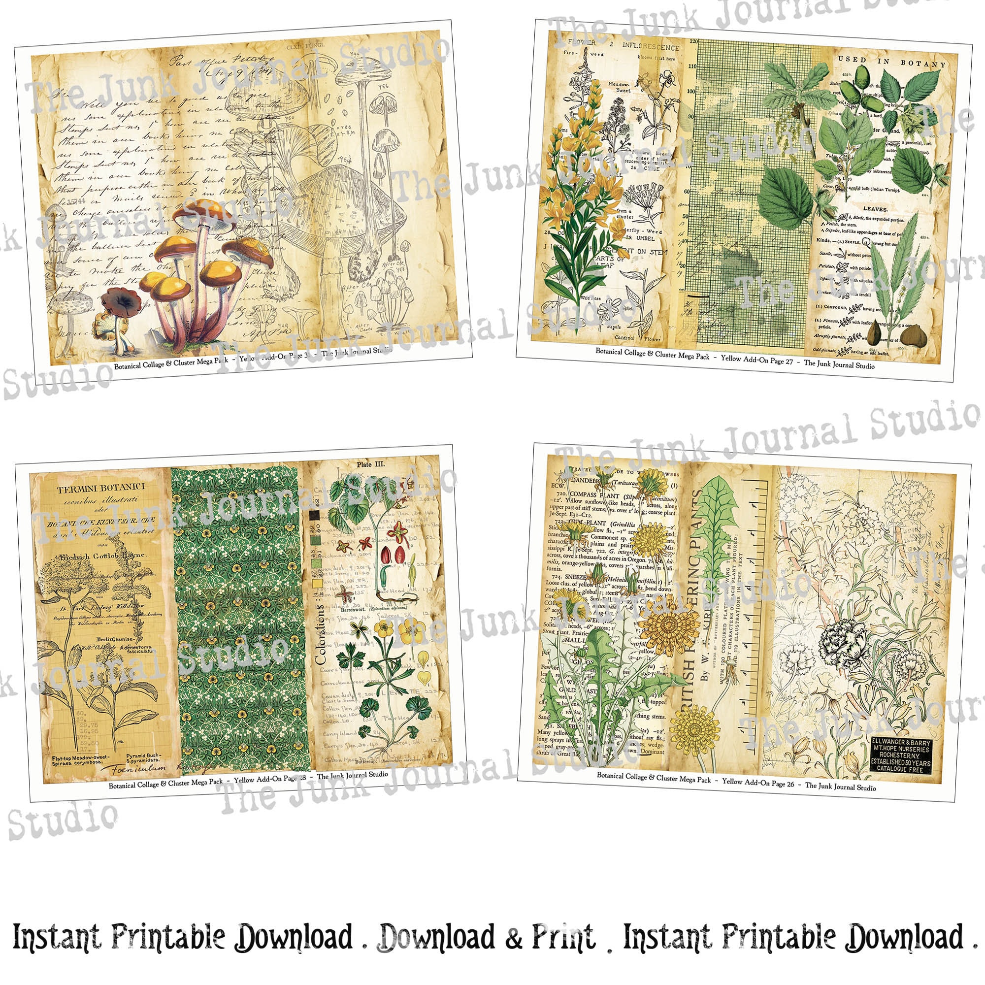 MEGAPACK - Botanical Collage Cluster Kit Series, Add-0n Yellow ...