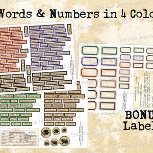 Huge Specimen Slide Kit, Entomology and Botanical Digital Kit, Specimen ...