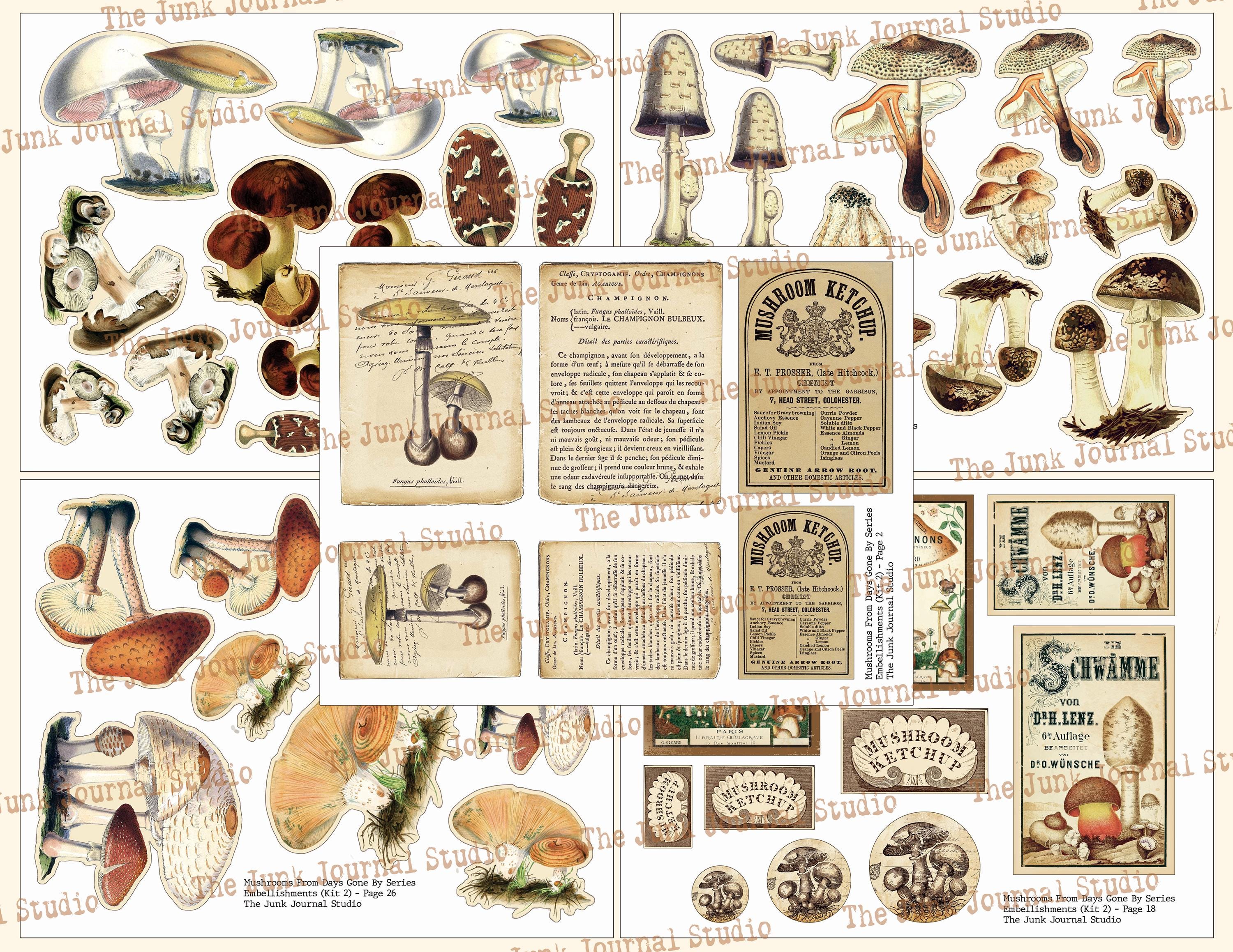 Mushrooms From Days Gone by Digital, Mushroom Junk Journal Kit 2 ...