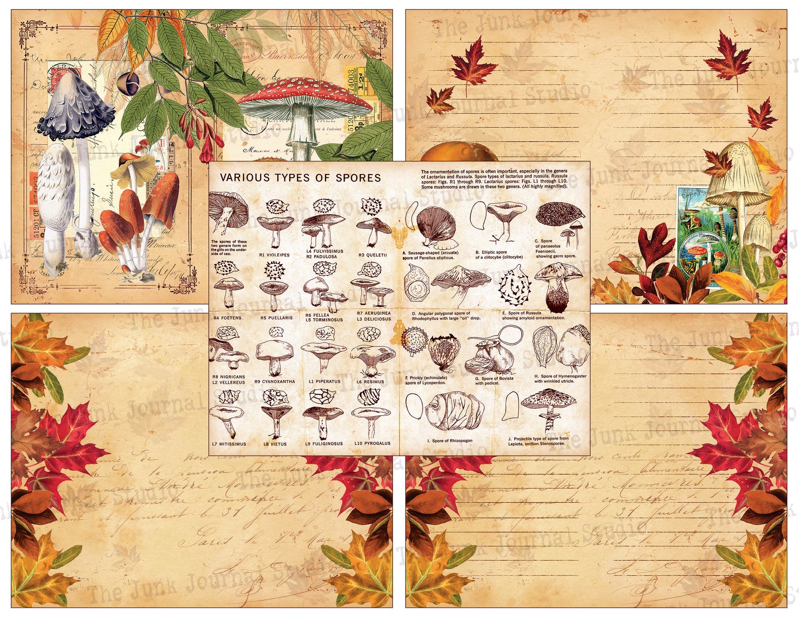 Huge Fall Junk Journal Kit Fall Bounty Journal Pages Autumn - Etsy