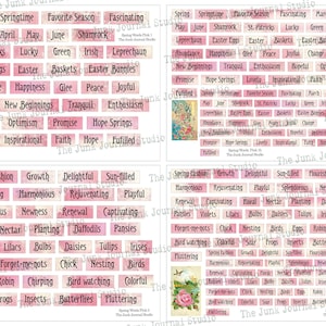 Huge Spring Bounty Kit 6, Spring Words, Definitions and Phrases Digital ...