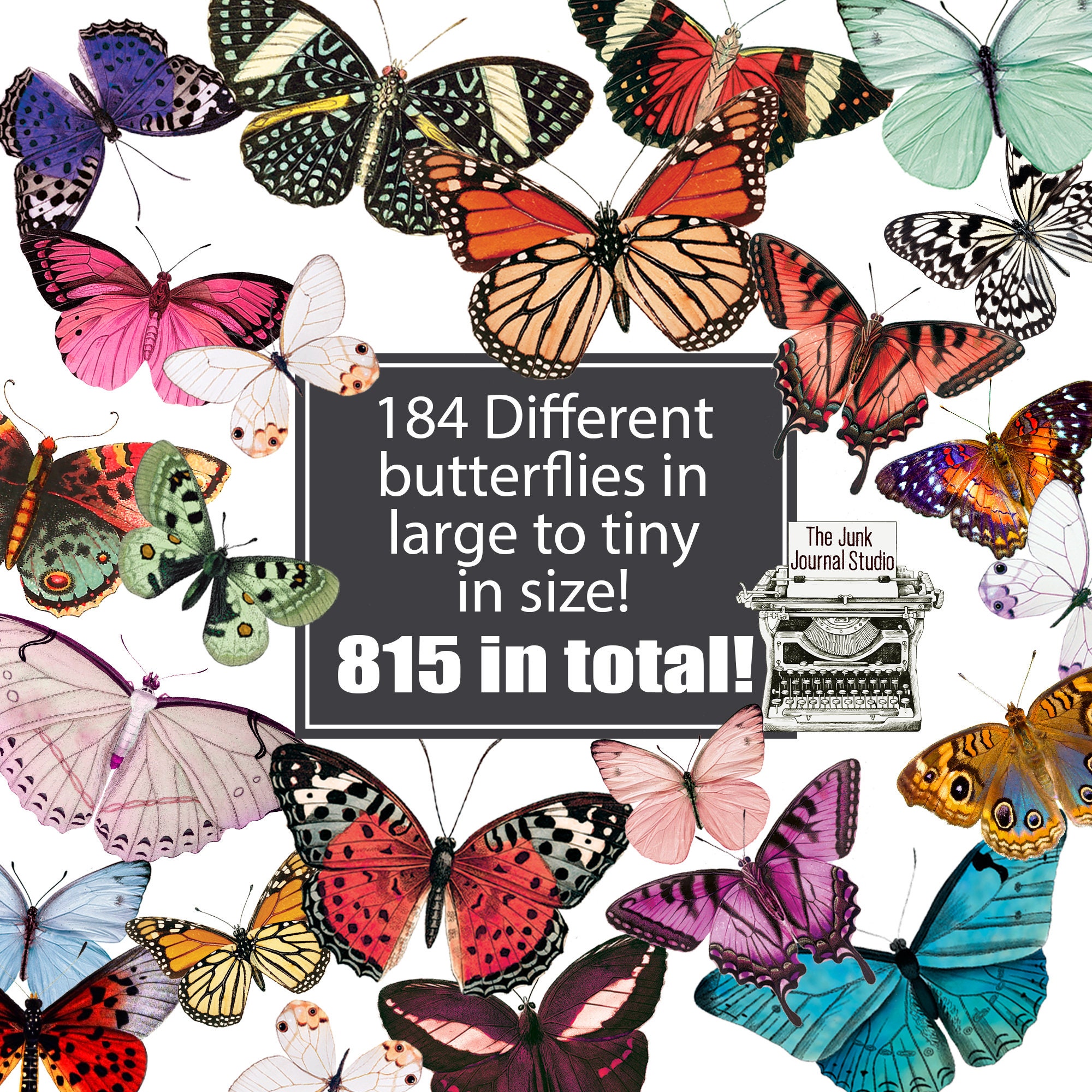 Butterfly Fussy Cut Mega Pack, 164 Digital Fussy Cut Butterflies ...