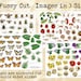 Huge Specimen Slide Kit, Entomology and Botanical Digital Kit, Specimen ...