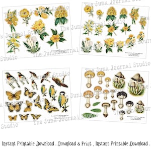 MEGAPACK - Botanical Collage Cluster Kit Series, Add-0n Yellow ...