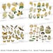 MEGAPACK - Botanical Collage Cluster Kit Series, Add-0n Yellow ...
