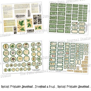 MEGAPACK - Botanical Collage Cluster Kit Series, Botanical Base Kit ...