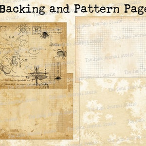 Huge Specimen Slide Kit, Entomology and Botanical Digital Kit, Specimen ...