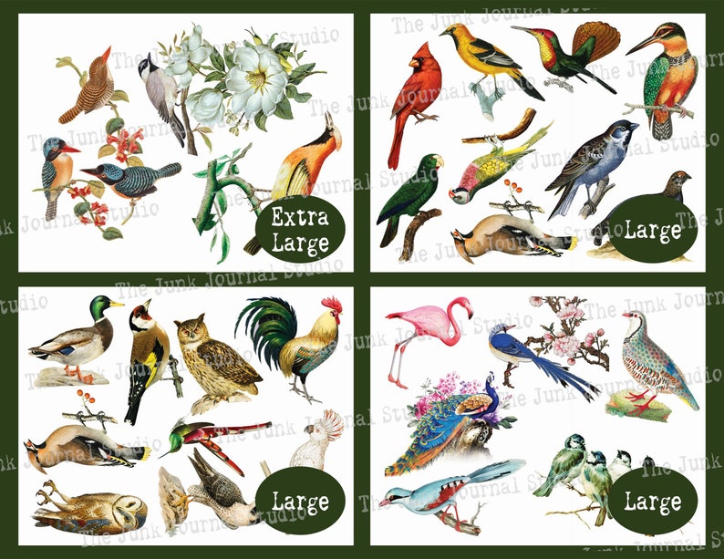 Bird Fussy Cut Mega Pack 280 Digital Fussy Cut Birds Digital - Etsy