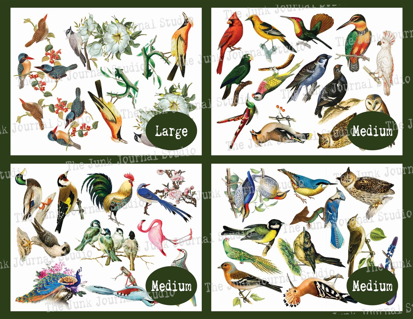 Bird Fussy Cut Mega Pack 280 Digital Fussy Cut Birds Digital - Etsy