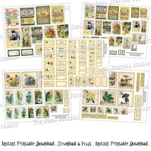 MEGAPACK - Botanical Collage Cluster Kit Series, Add-0n Yellow ...