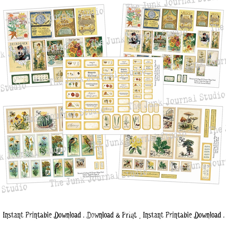 MEGAPACK - Botanical Collage Cluster Kit Series, Add-0n Yellow ...
