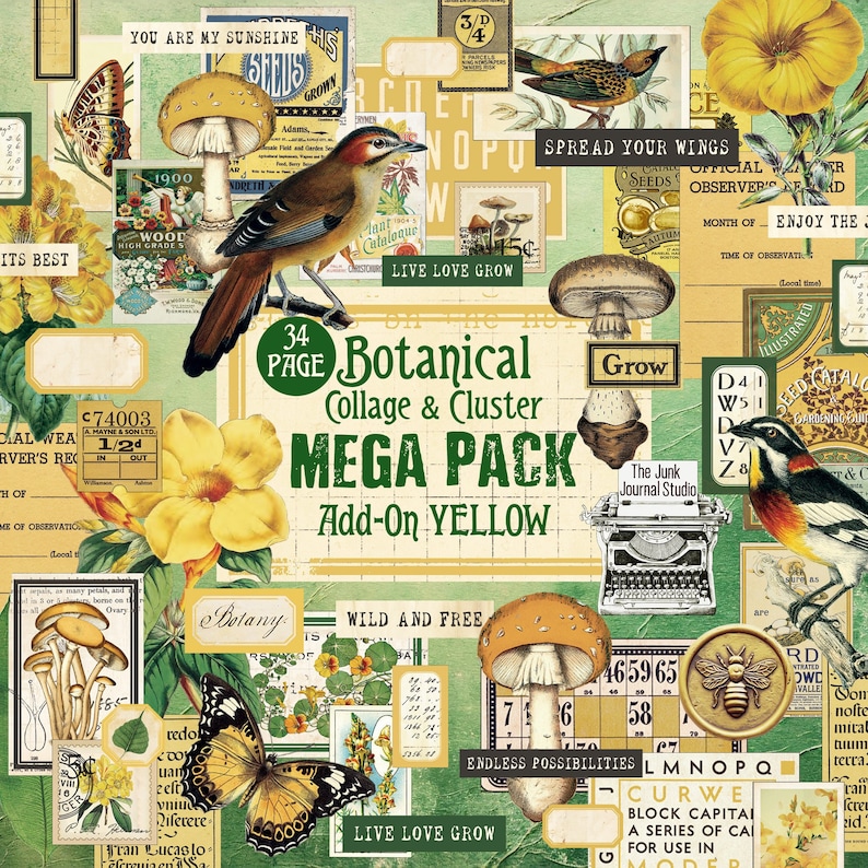 MEGAPACK - Botanical Collage Cluster Kit Series, Add-0n Yellow ...