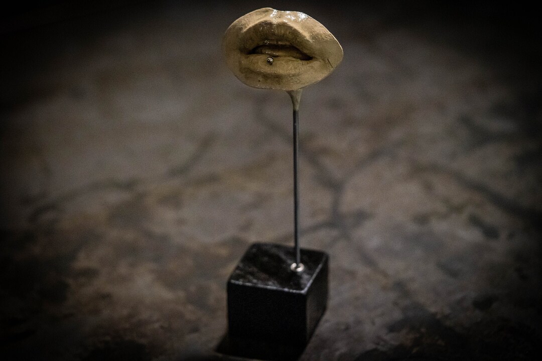 Lip Piercing Display Ashley / Tongue Goth Jewelry / Goth Art Horror Art ...