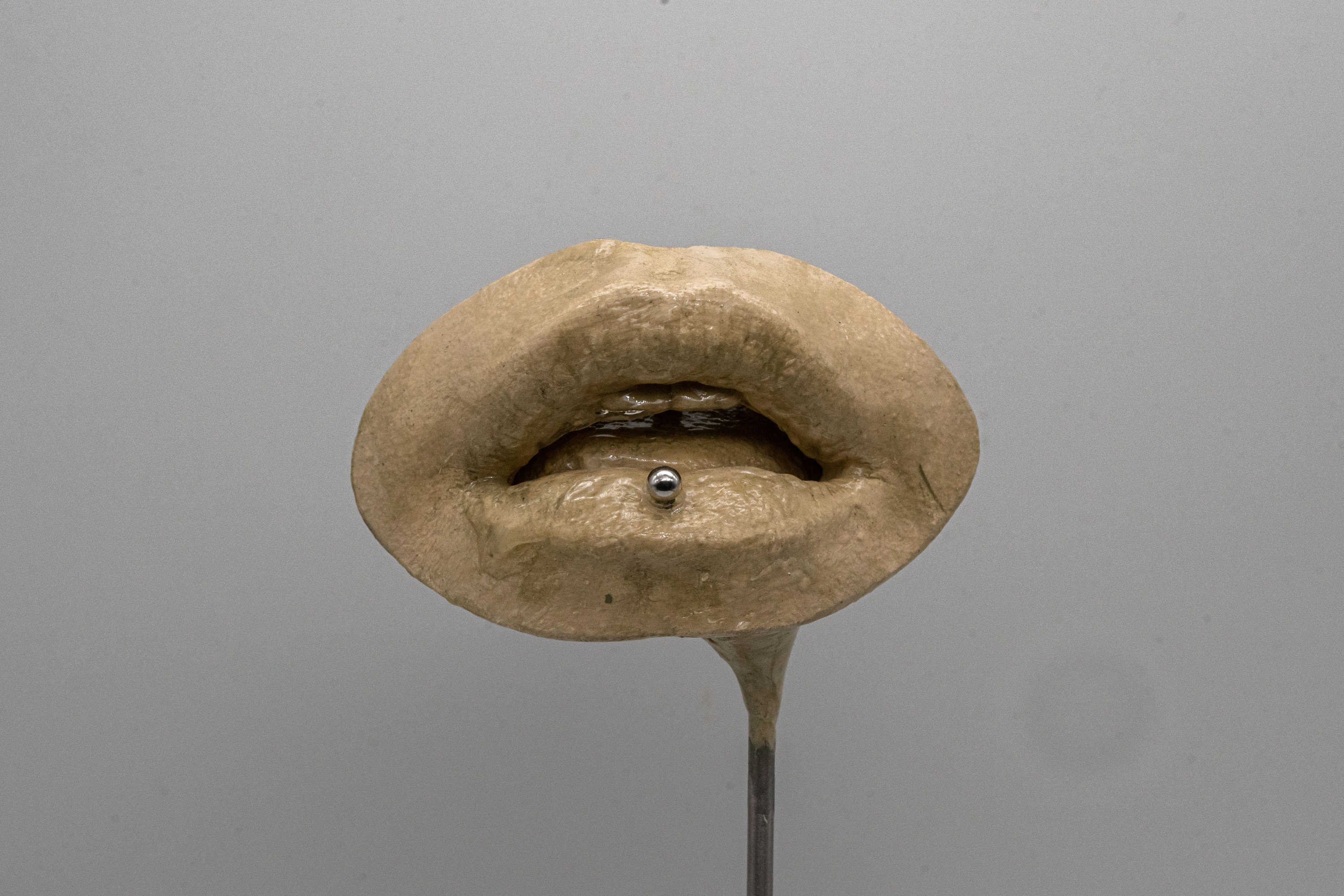 Lip Piercing Display Ashley / Tongue Goth Jewelry / Goth - Etsy