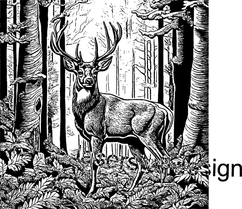 Buck Deer Vector - Etsy