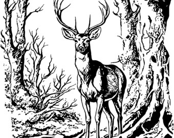 Buck Yeah Cut File Pack, Hunting, Deer - Etsy