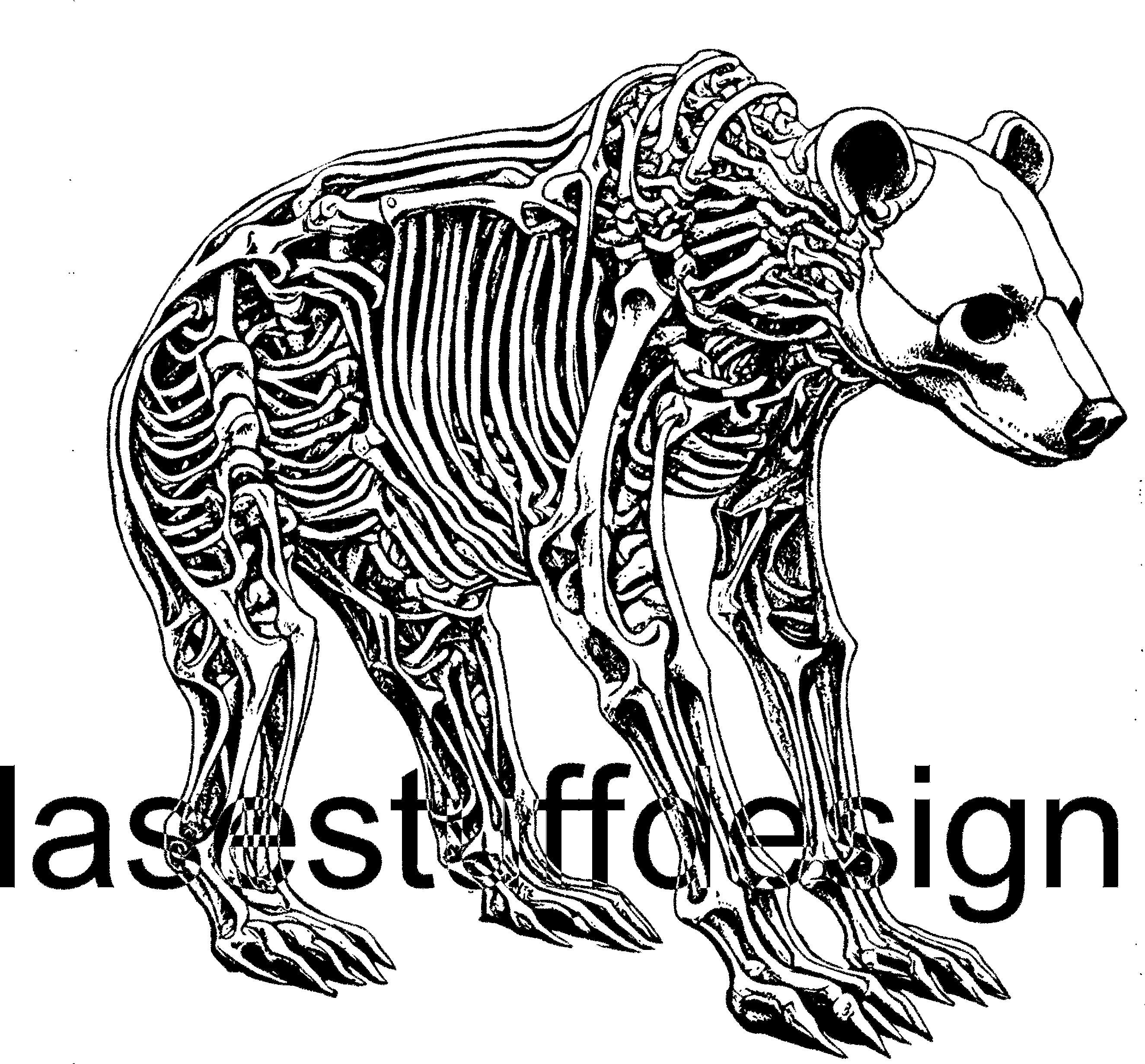 Bear Skeleton Vector SVG File - Etsy