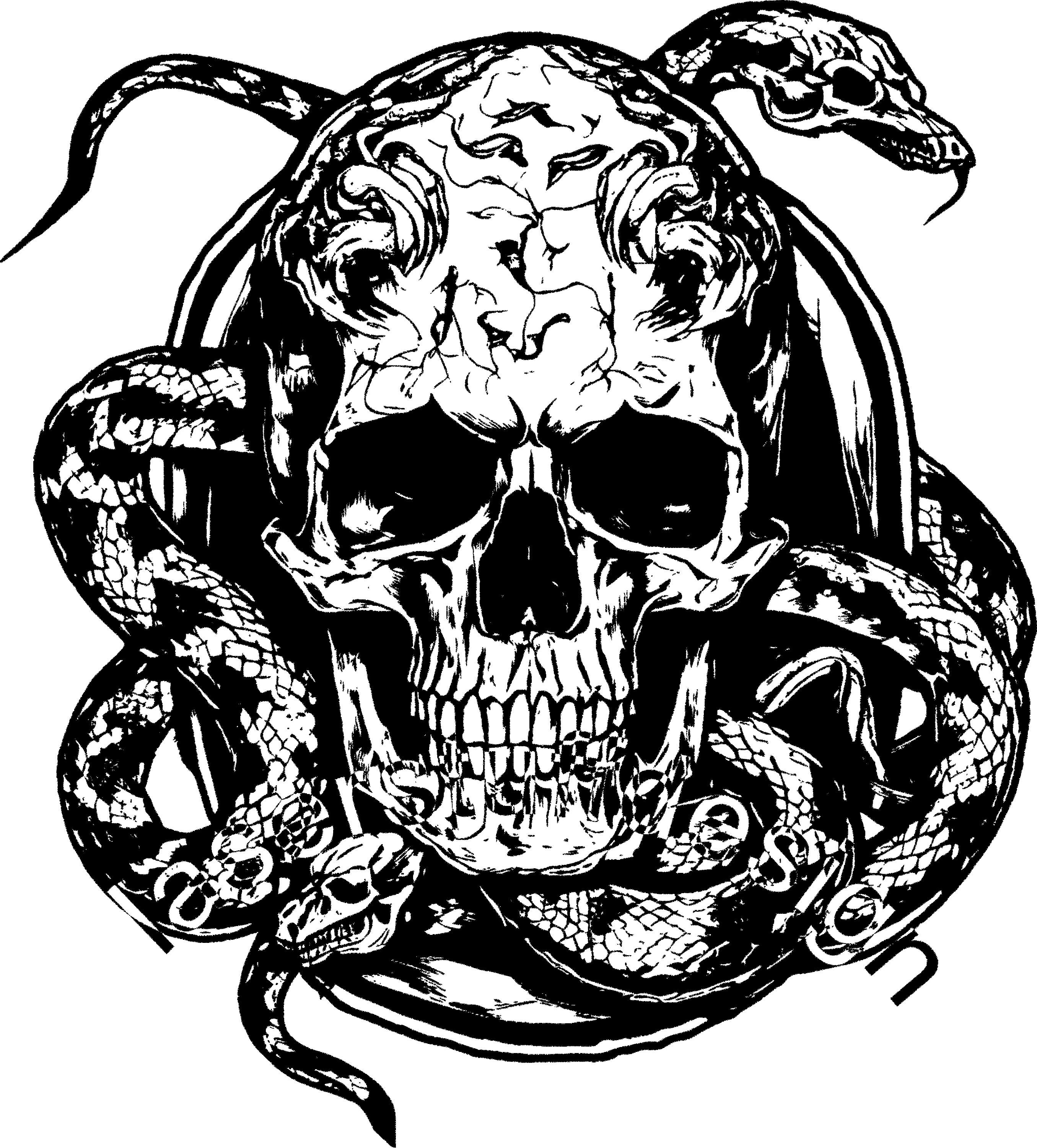 Skull and Snake Vector File SVG - Etsy