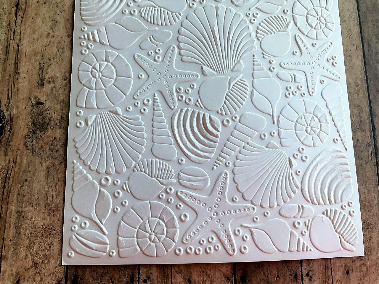 Seashell Embossed Paper, Embossed Sheets, Textured Card Fronts, Ocean ...