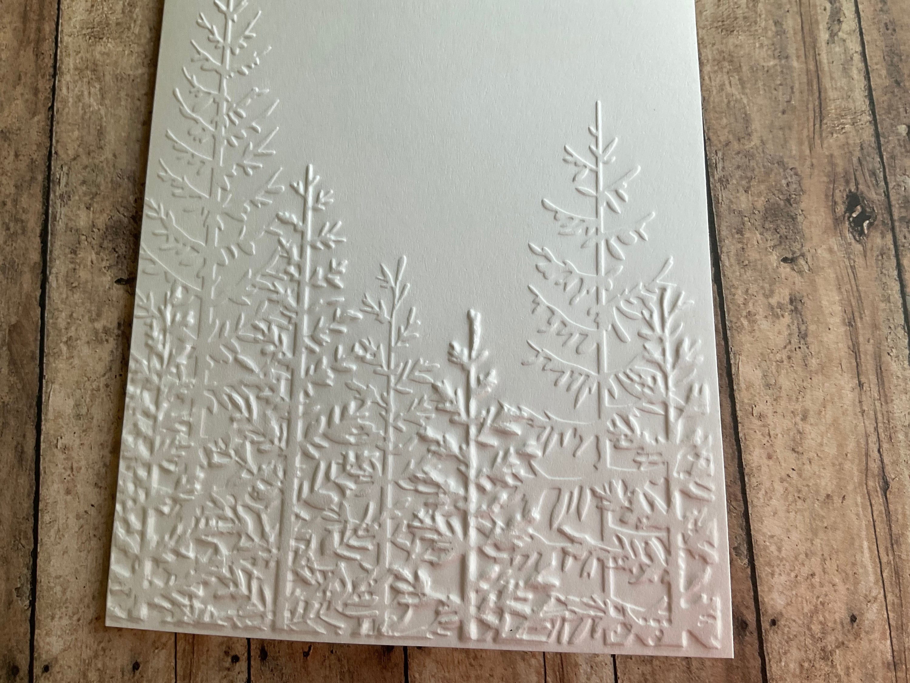 Tall Pine Trees Stationery Set, Forest Note Cards, White Embossed A2 ...
