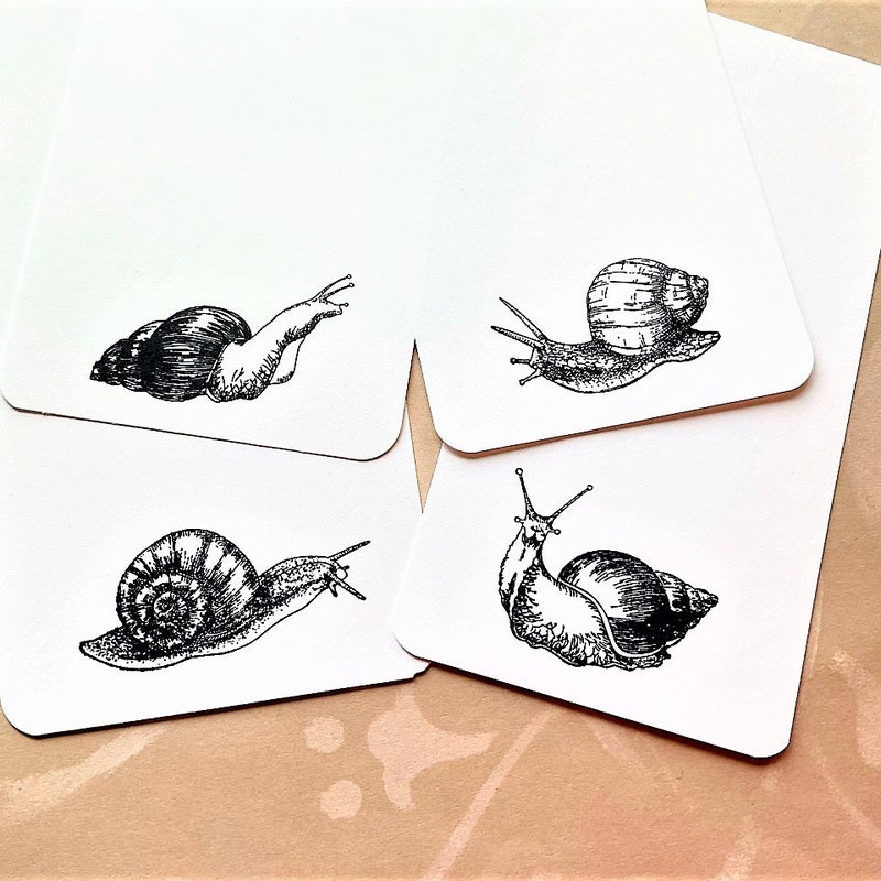 Snail Art - Etsy