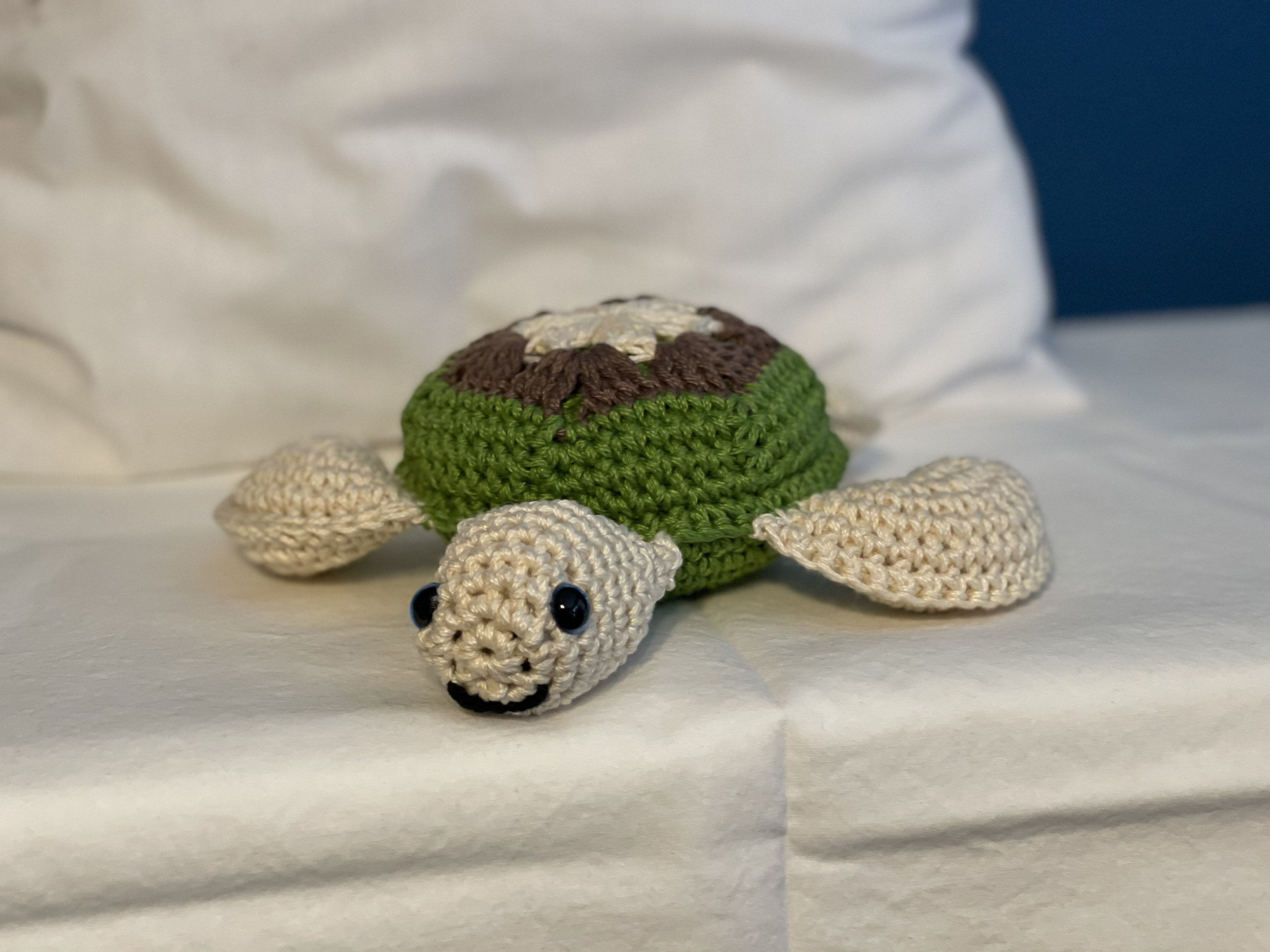 Crocheted Stuffed Turtle - Etsy