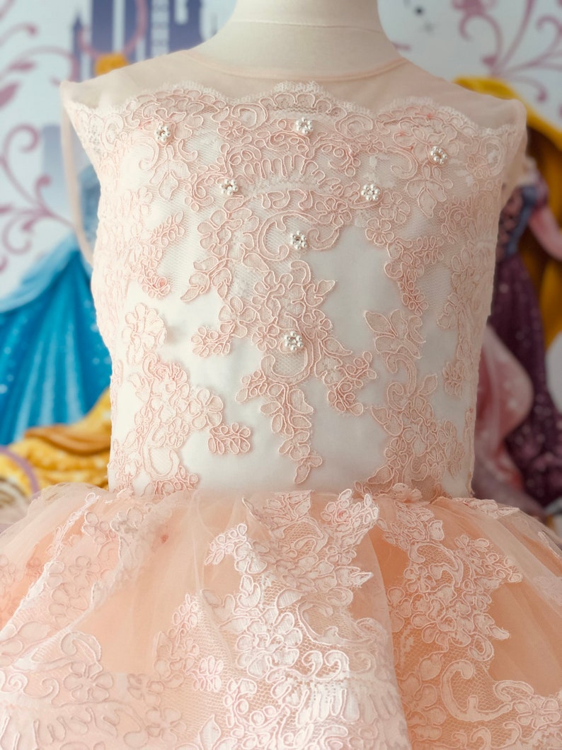 Light Pink Dress Pageant Prom Dress Girls Ball Gown Party Birthday ...