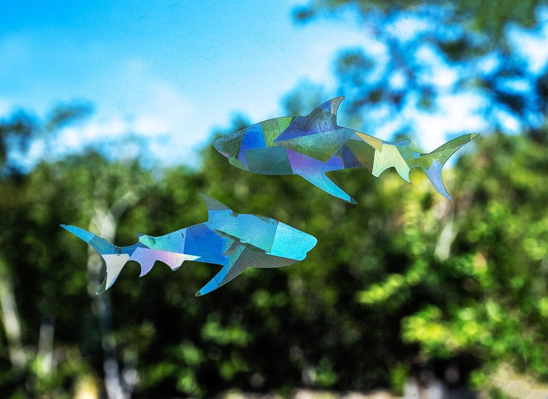 Shark Suncatcher, Rainbow Sticker, Shark Gifts, Shark Decor, Suncatcher ...