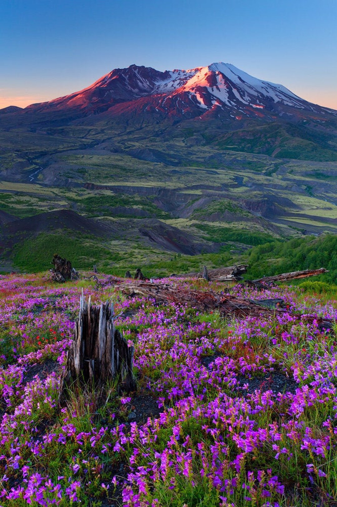 Glowing Cauldron - Mt St Helens, Wildflower, Volcano, Washington ...