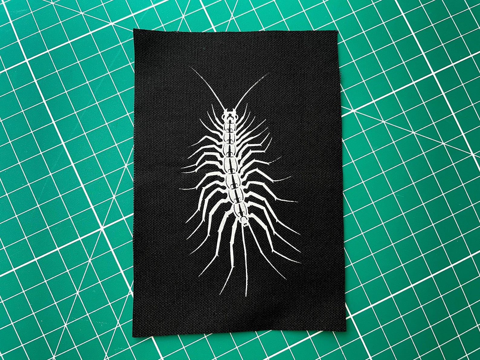 Centipede Patch | Bug Insect House Scary Creepy Canvas Screenprinting ...