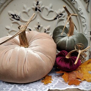 Velvet Pumpkins With Real Dried Pumpkin Stems-champagne BEIGE; 20 ...