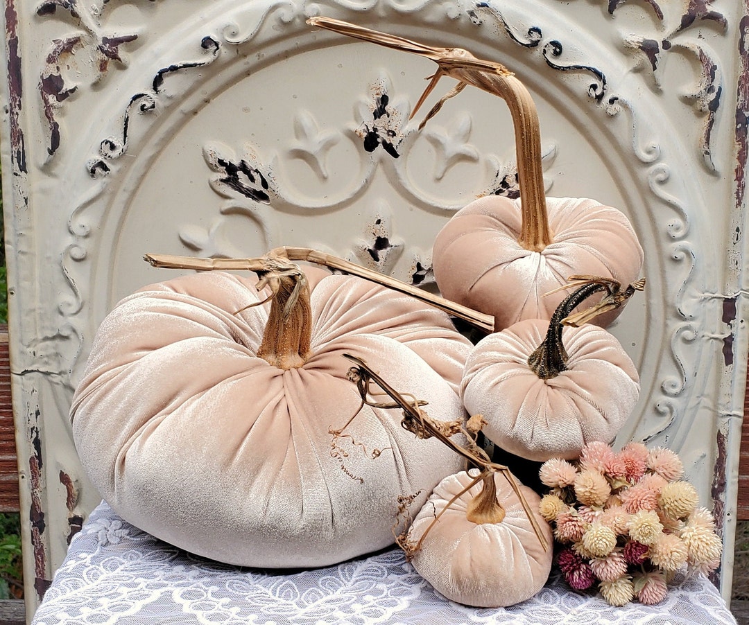Velvet Pumpkins With Real Dried Pumpkin Stems-champagne BEIGE; 20 ...