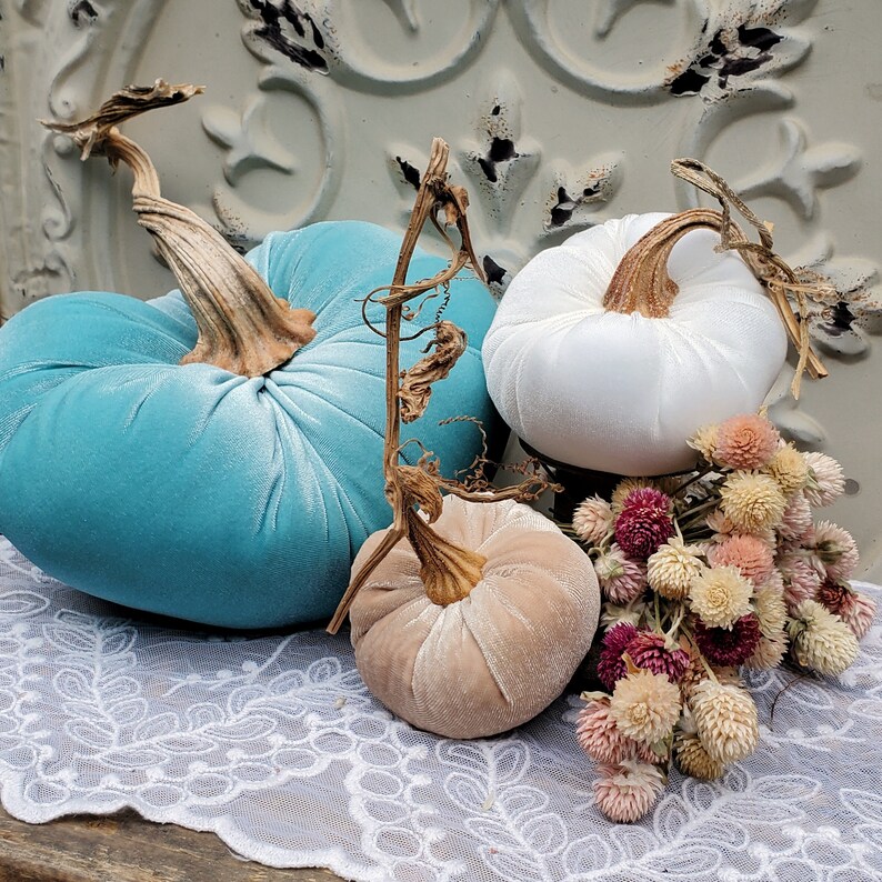 Velvet Pumpkins With Real Dried Pumpkin Stems-champagne BEIGE; 20 ...