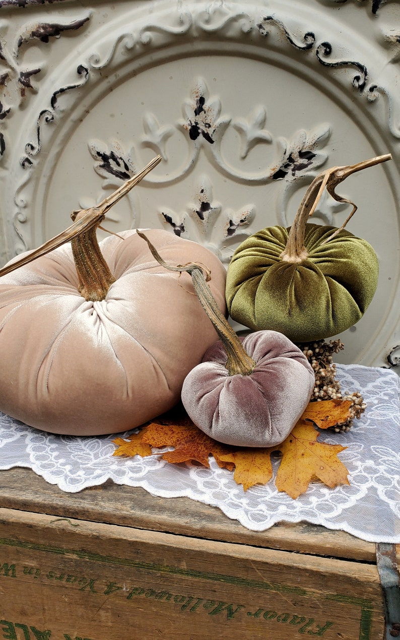 Velvet Pumpkins With Real Dried Pumpkin Stems-champagne BEIGE; 20 ...