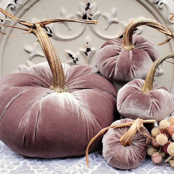 Velvet Pumpkins - Etsy