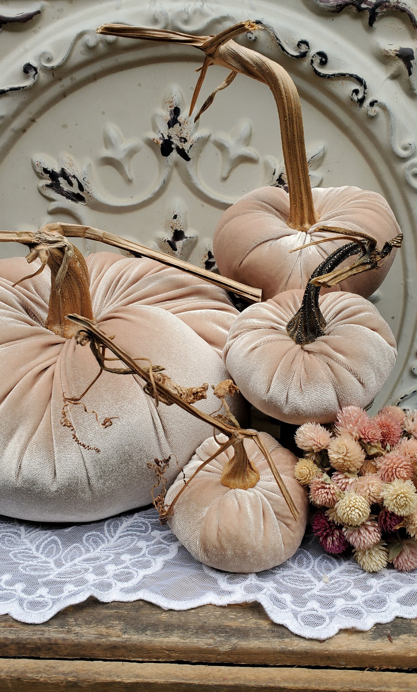 Velvet Pumpkins With Real Dried Pumpkin Stems-champagne BEIGE; 20 ...