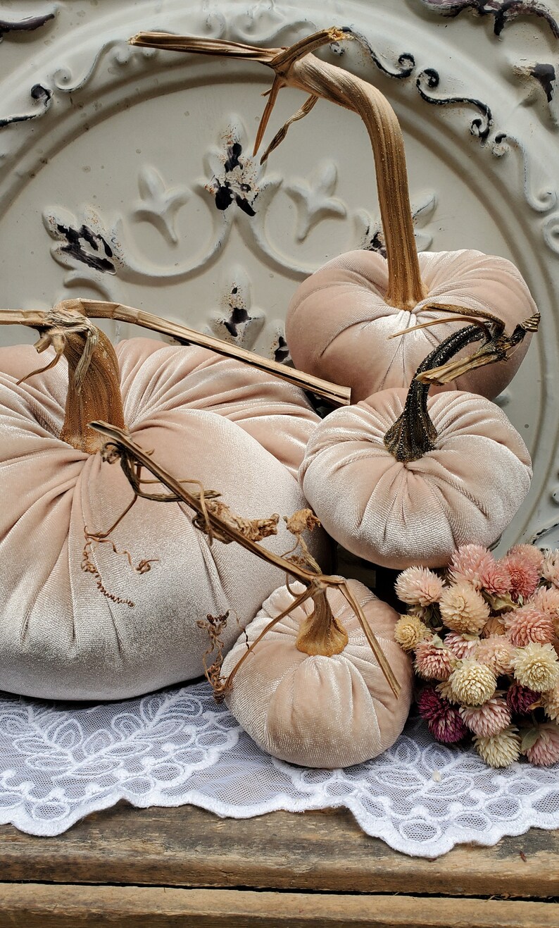 Velvet Pumpkins With Real Dried Pumpkin Stems-champagne BEIGE | Etsy
