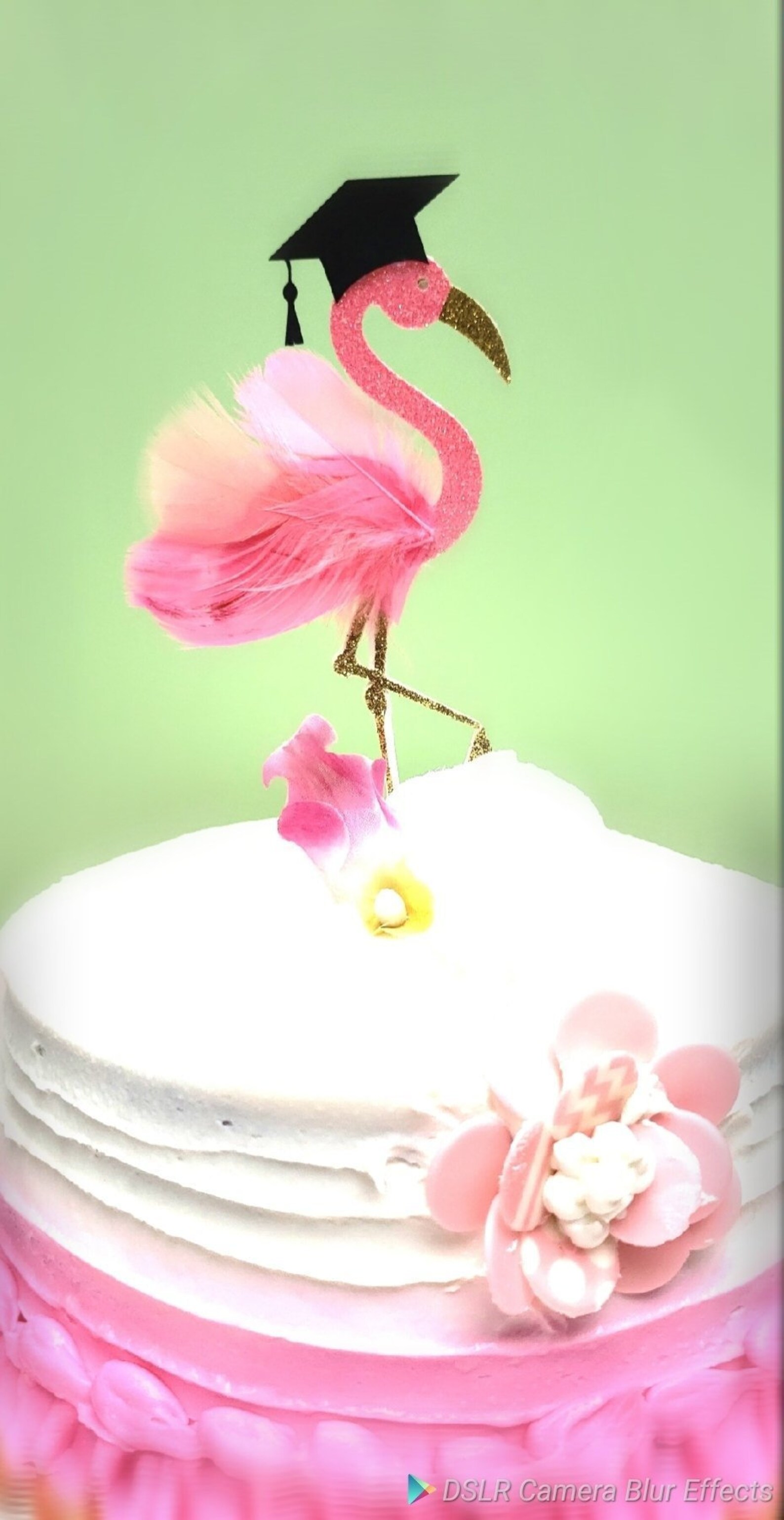 Graduation Cake Topper Graduation Flamingo Cake Topper - Etsy