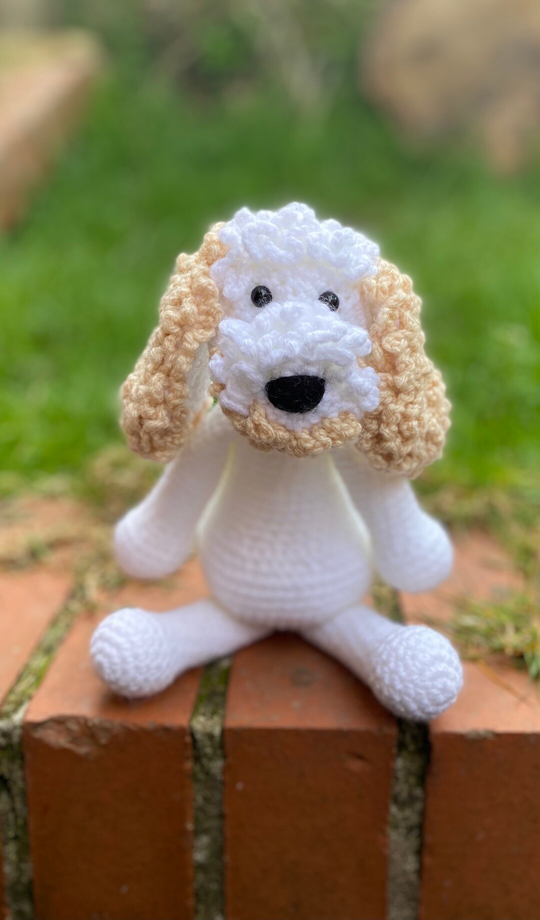 Cockerpoo Teddy - Etsy