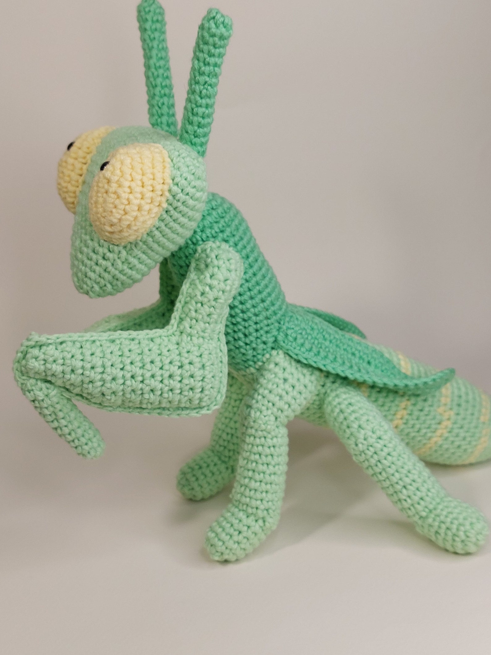 Praying Mantis Crochet Pattern Amigurumi Mantis PDF File in - Etsy ...