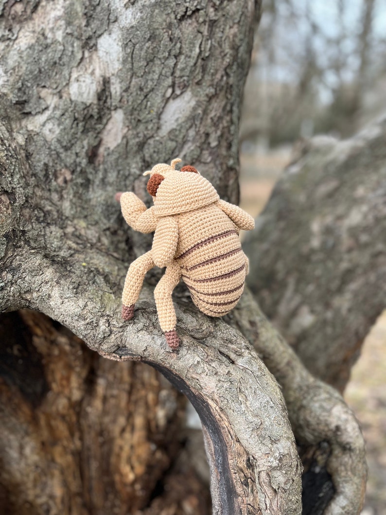 Cicada Nymph Crochet Pattern Amigurumi Cicada Nymph Tutorial Etsy