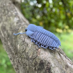Trilobite Crochet Pattern, Amigurumi Trilobite PDF File in English - Etsy