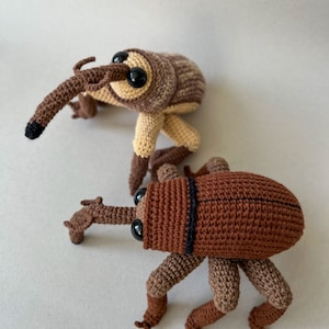Acorn Weevil Crochet Pattern, PDF File in English, Amigurumi Weevil - Etsy