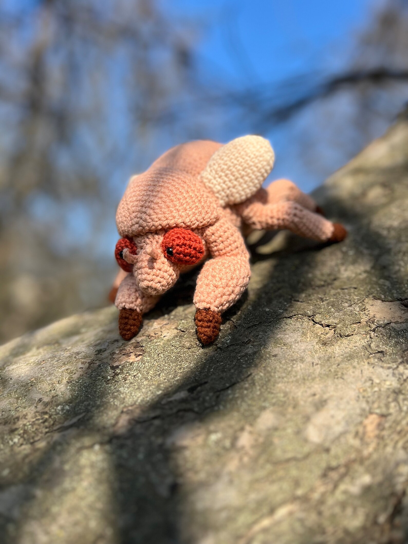 Cicada Nymph Crochet Pattern Amigurumi Cicada Nymph Tutorial - Etsy