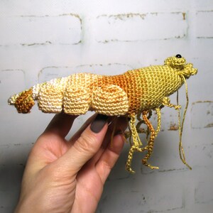 Crochet Lifelike Shrimp Prawn Pattern PDF File in English - Etsy