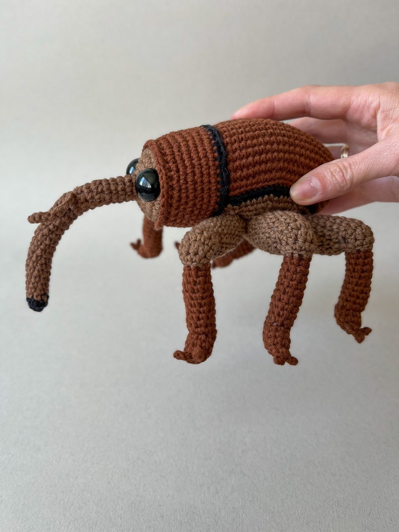 Acorn Weevil Crochet Pattern, PDF File in English, Amigurumi Weevil - Etsy