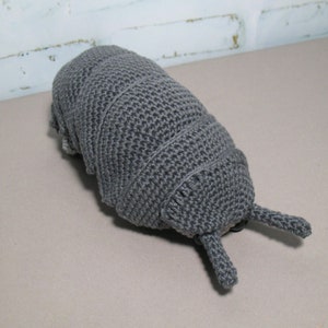 Roly Poly Pill Bug Crochet Pattern PDF File in English - Etsy UK
